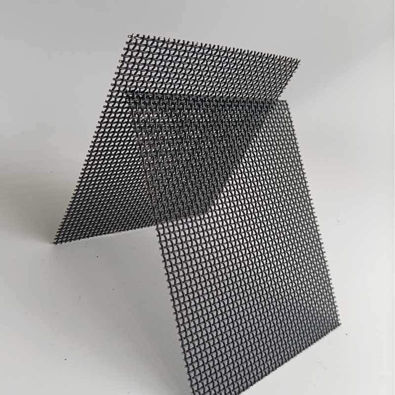 Black Epoxy Coated 316 Stainless Steel Security Mesh 12 X 12 Wire Mesh ...
